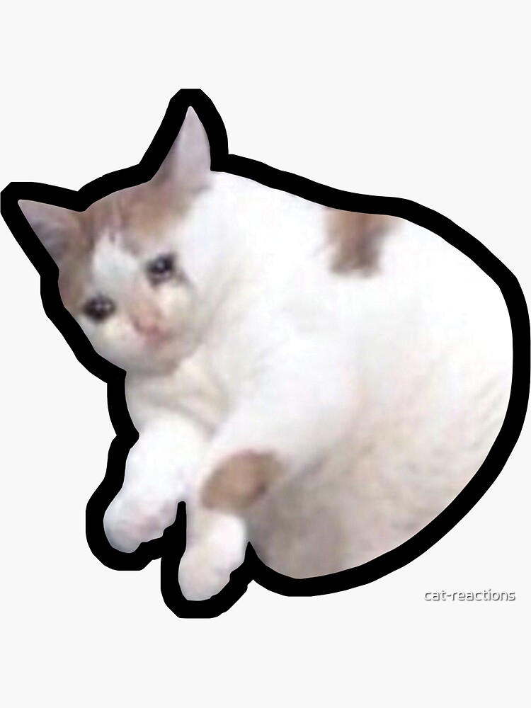 "Crying Cat Meme #2 (Black Outline)" Sticker for Sale by cat-reactions ...