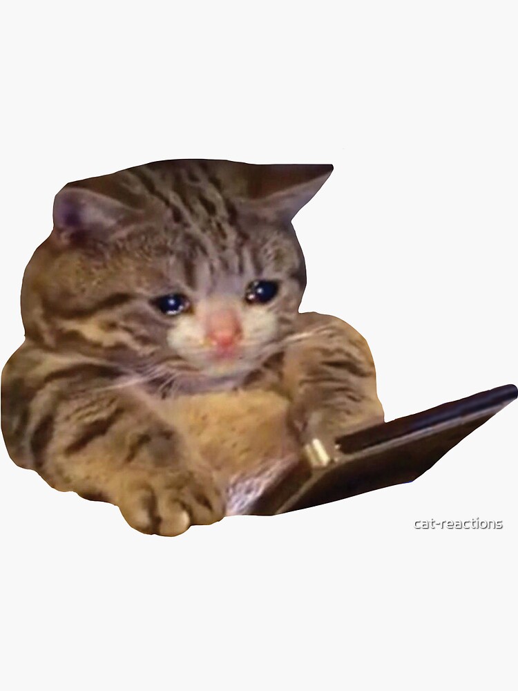 "Crying Cat Meme #3" Sticker for Sale by cat-reactions | Redbubble