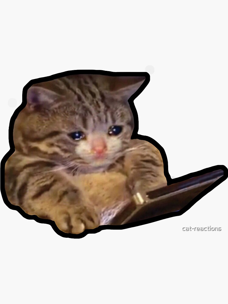 "Crying Cat Meme #3 (Black Outline)" Sticker for Sale by cat-reactions ...