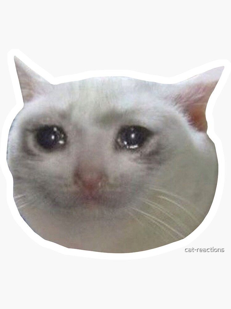 "Crying Cat Meme #4 (White Outline)" Sticker for Sale by cat-reactions ...