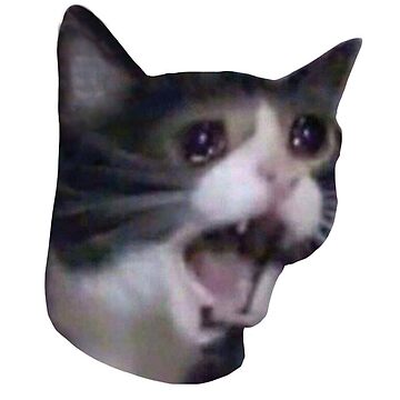 "Crying Cat Meme #5" Sticker for Sale by cat-reactions | Redbubble