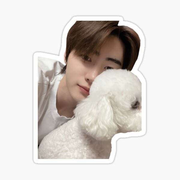 "ENHYPEN - Sunghoon Gaeul " Sticker for Sale by criileelat | Redbubble