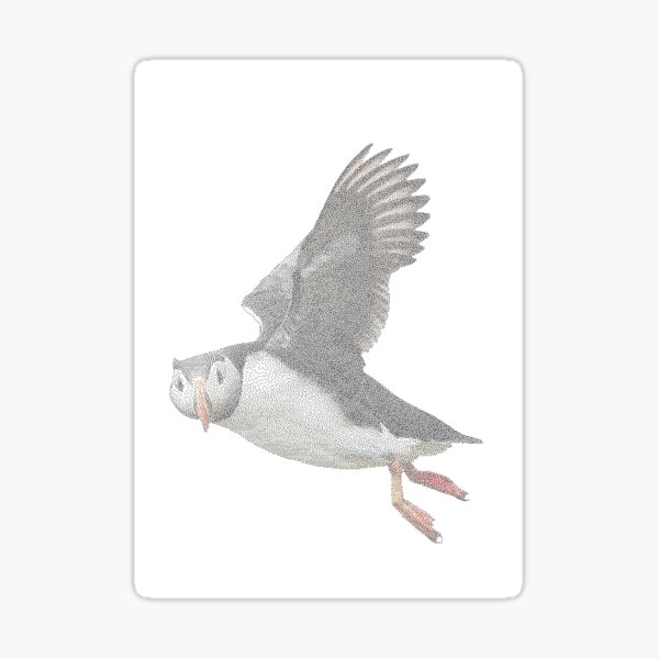 "Airborne Puffin - color TSP-art" Sticker for Sale by virtuPIC | Redbubble
