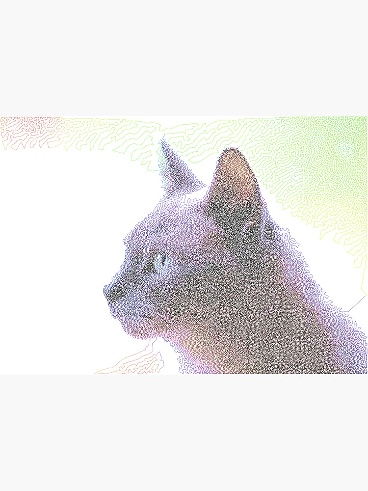 "Proud Cat - color TSP-art" Sticker for Sale by virtuPIC | Redbubble