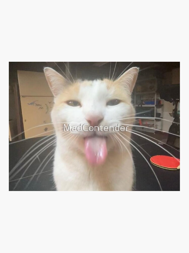 "Silly cat Milly" Sticker for Sale by MadContender | Redbubble