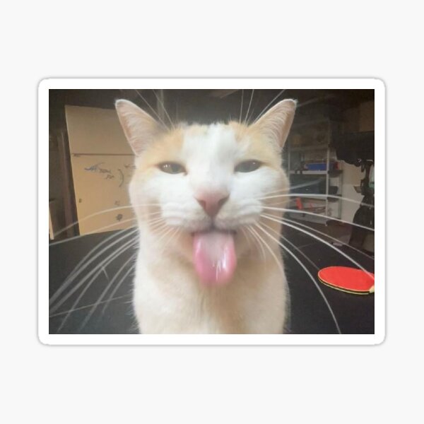 Silly Cat Milly Sticker For Sale By Madcontender Redbubble