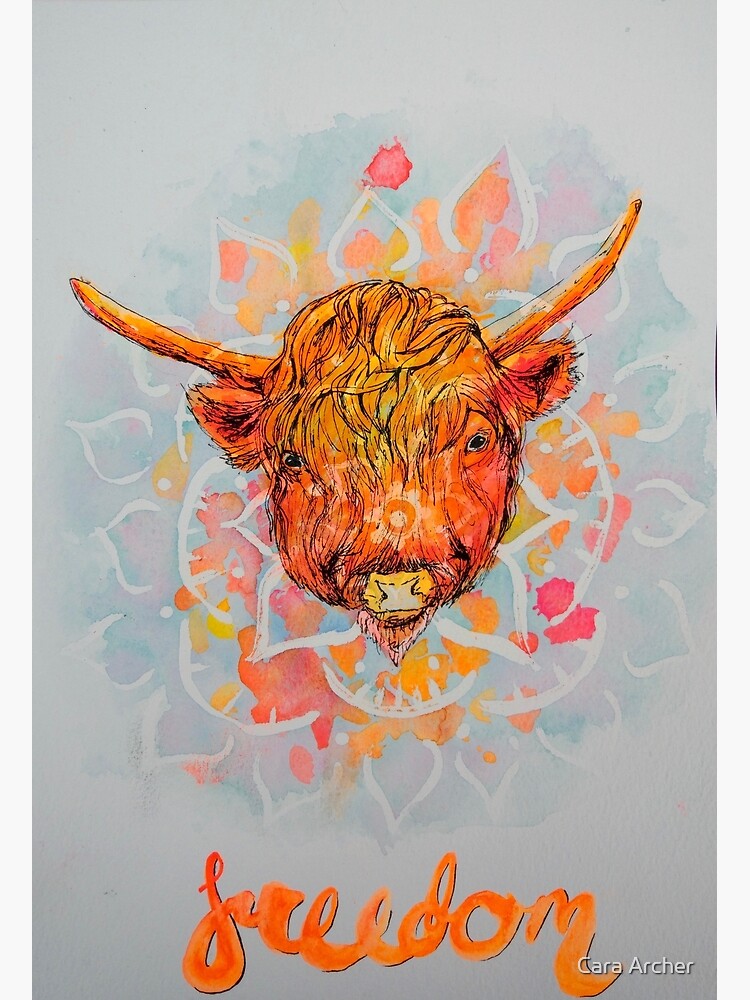 "Freedom Highland Cow" Art Print for Sale by caraarcher | Redbubble