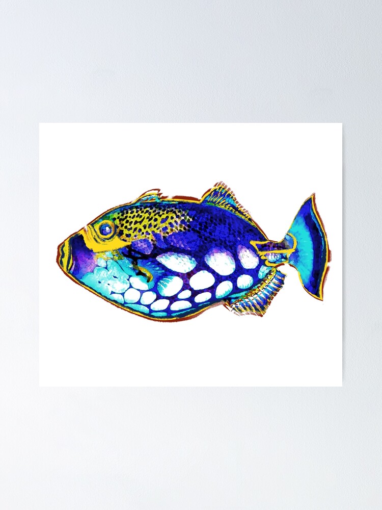 "Triggerfish " Poster for Sale by Lazut | Redbubble
