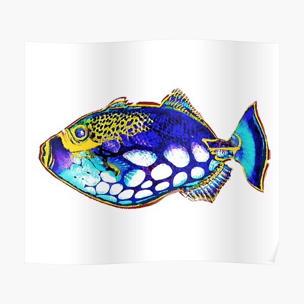 "Triggerfish " Poster for Sale by Lazut | Redbubble