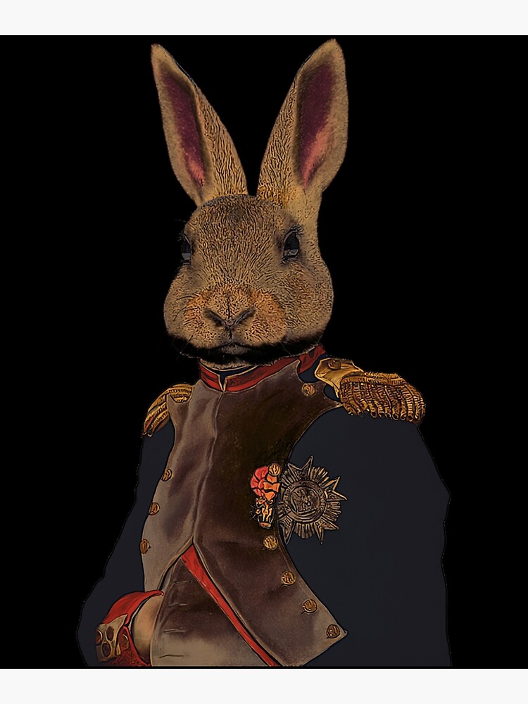 "cute napoleon rabbit portrait madame memento transparent" Poster for ...