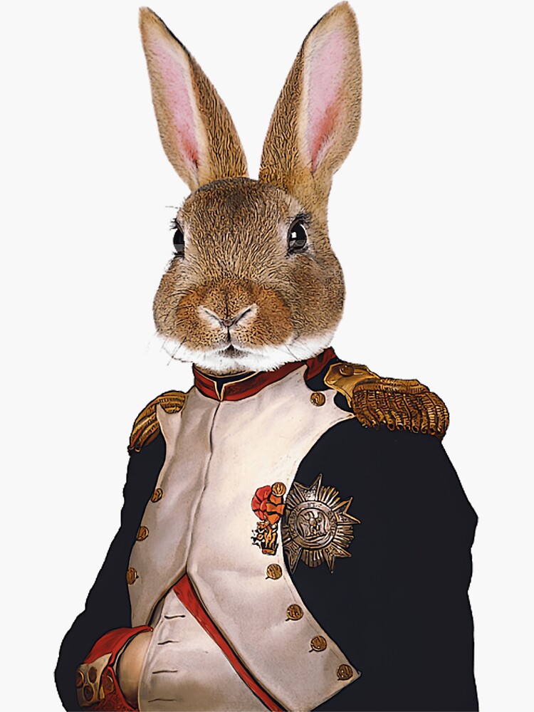 "cute napoleon rabbit portrait madame memento transparent" Sticker for ...
