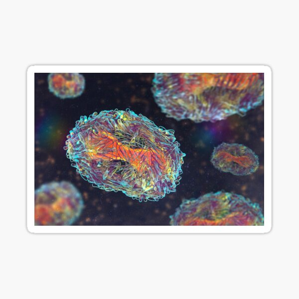 "Monkeypox viruses, 3D illustration" Sticker for Sale by DrMicrobe ...