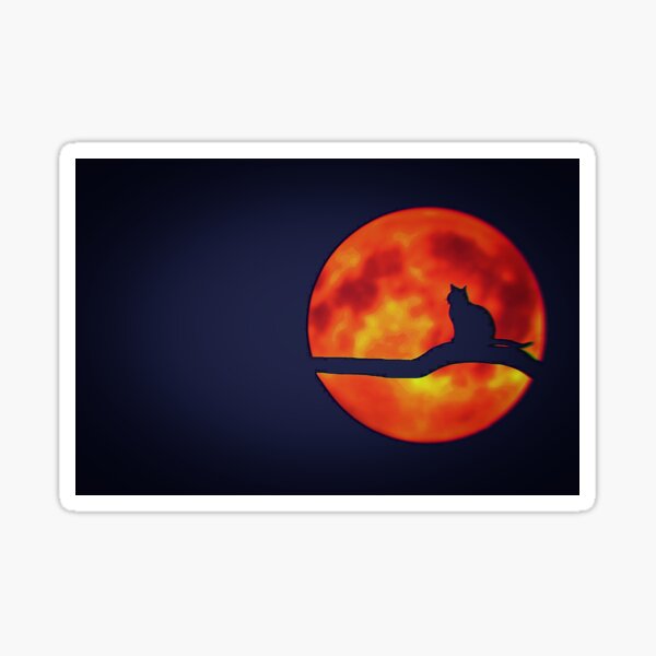 "Cat looking at the moon" Sticker for Sale by SanelaLuckyStar | Redbubble