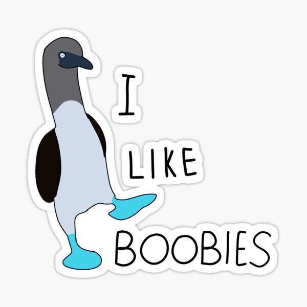 "I Like Boobies Bird Meme Joke" Sticker for Sale by zoocuties | Redbubble