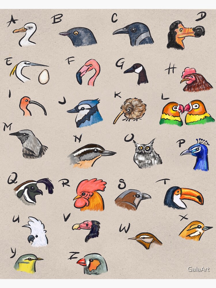 "Bird Alphabet" Sticker for Sale by GalaArt | Redbubble
