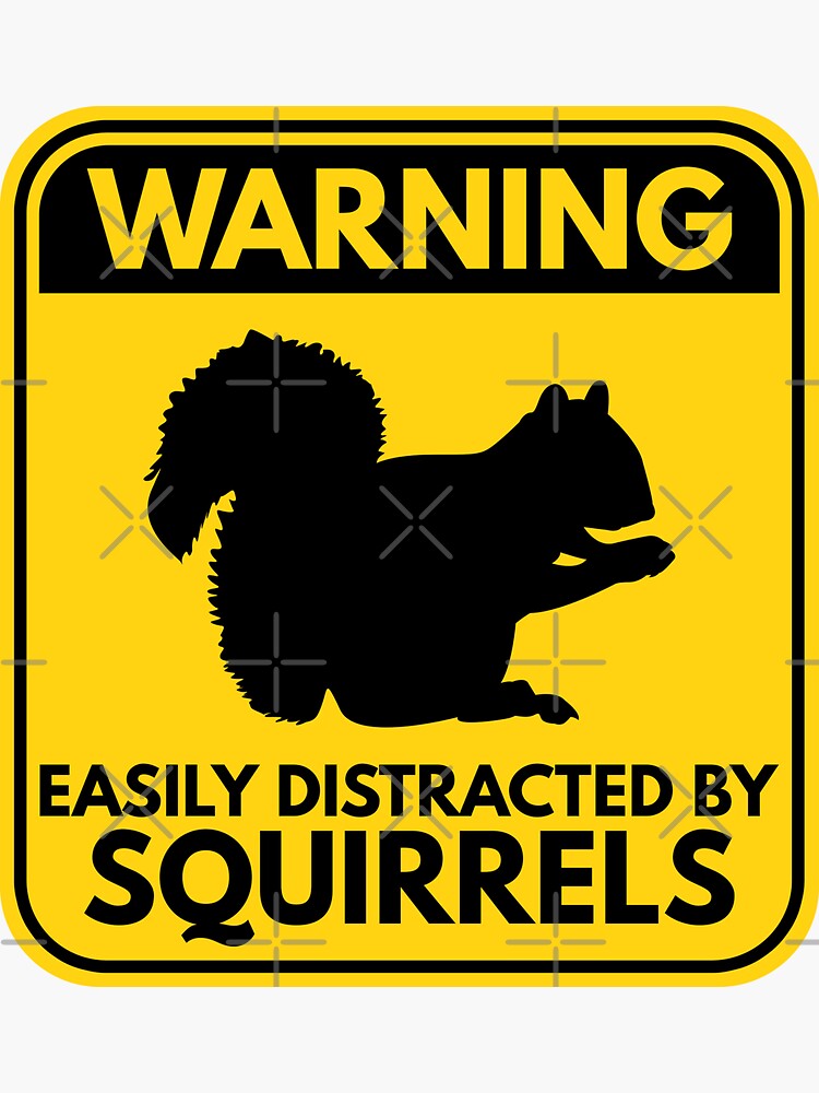 "Funny Squirrel Warning Sign - Squirrel Lover Sign" Sticker for Sale by ...