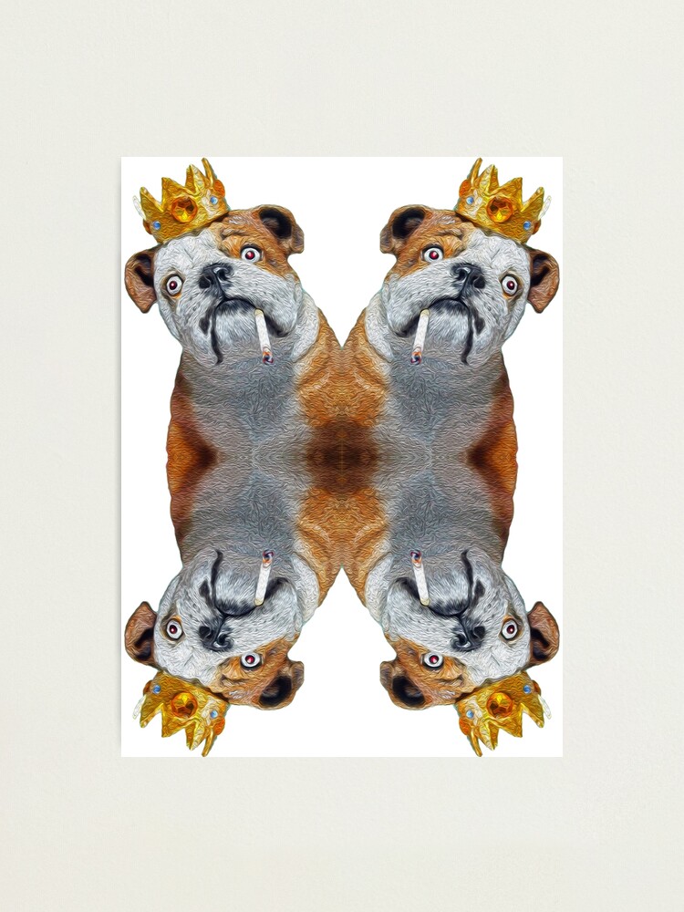 "CUTE Ecstasy Dog King | Acid dog prince | Psychedelic Bull Dog ...