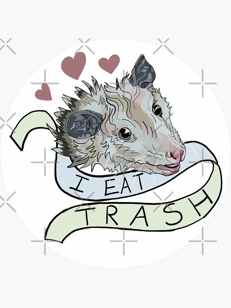 "I Eat Trash, Possum With Plain Background" Sticker for Sale by ...