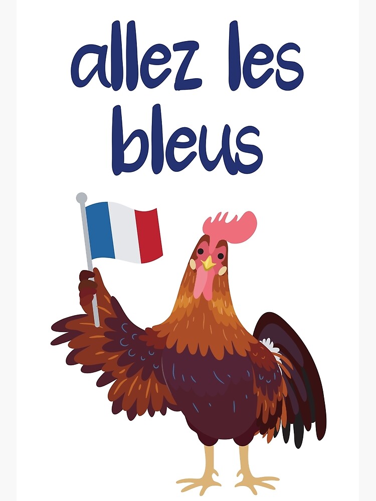"Allez Les Bleus On Va Gagner- Cheer for France at 2022 Qatar World Cup ...