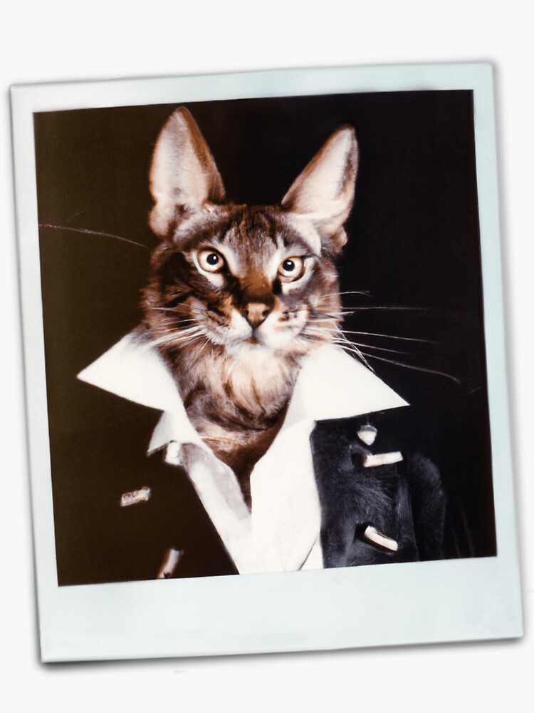 "REC" Sticker for Sale by Wawalt | Redbubble