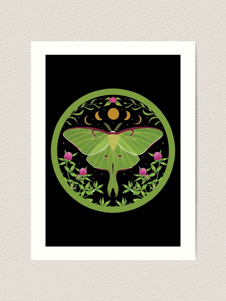 "Luna Moth Graphic | Luna Moth Art | Celestial Moon Moth | Cottagecore ...