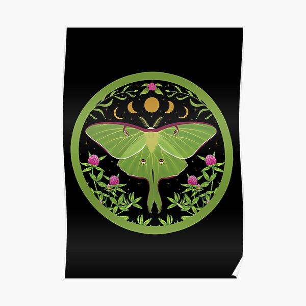 "Luna Moth Graphic | Luna Moth Art | Celestial Moon Moth | Cottagecore ...