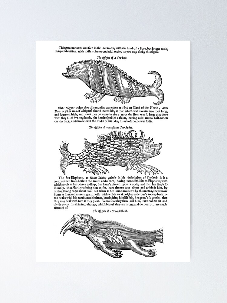 "Woodcut illustrations of sea monsters." Poster for Sale by Luggnagg ...
