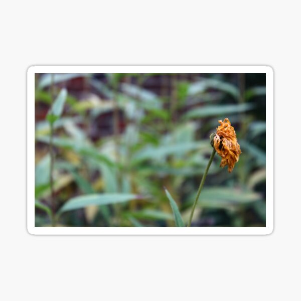 "Sad flower" Sticker by BrittMonten | Redbubble