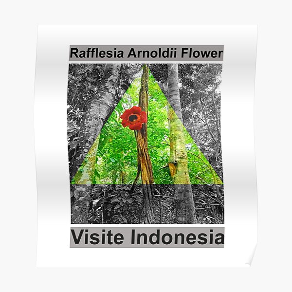 "Rafflesia Arnoldii Flower, Visite Indonesia" Poster for Sale by AADH ...