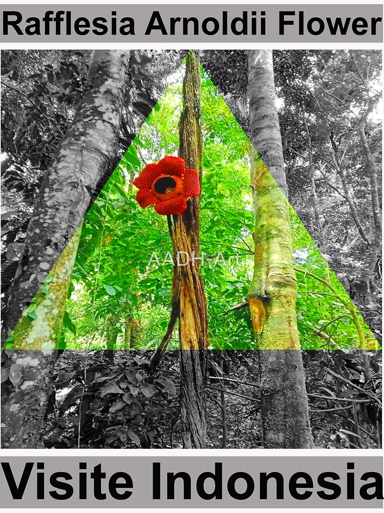 "Rafflesia Arnoldii Flower, Visite Indonesia" Sticker for Sale by AADH ...