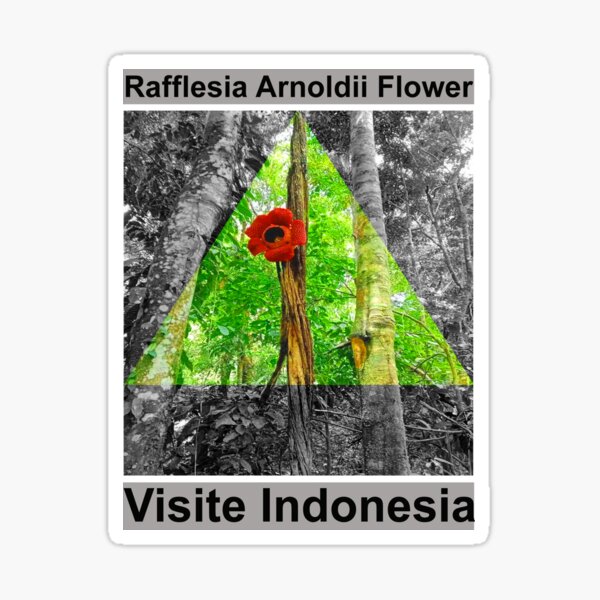 "Rafflesia Arnoldii Flower, Visite Indonesia" Sticker for Sale by AADH ...