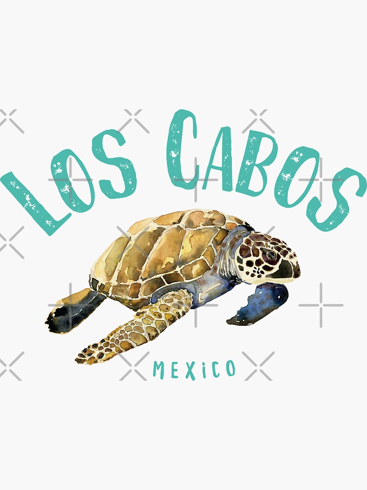 "Los Cabos Mexico Sea Turtle Design" Sticker for Sale by Futurebeachbum ...