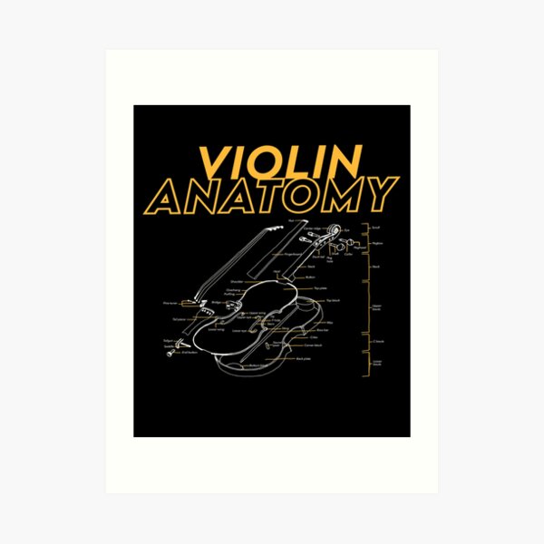 "TwoSet Violin Merch violin anatomy drawing diagram" Art Print for Sale ...