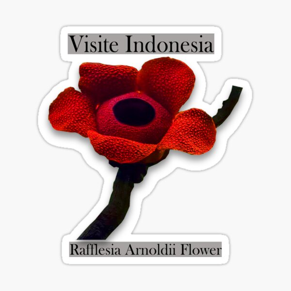 "Rafflesia Arnoldii Flower, Visite Indonesia" Sticker for Sale by AADH ...