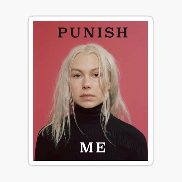 "punish me phoebe bridgers" Sticker for Sale by lakenney97 | Redbubble