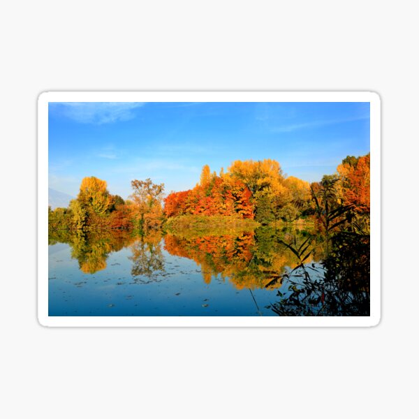 "Reflections" Sticker for Sale by annalisa56 | Redbubble