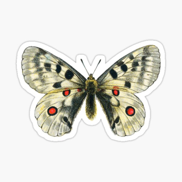 "Butterfly Transparent -Moth Clipart-&Transparent T -shirt " Sticker ...
