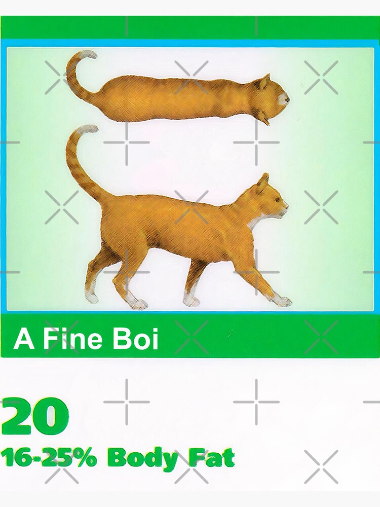 "A Fine Boi" Sticker for Sale by SastheTater | Redbubble