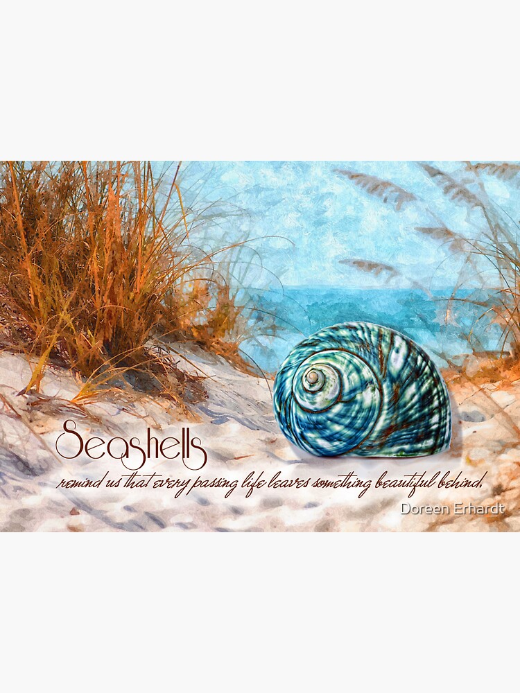 "Sympathy - Seashell on the Beach Watercolor " Sticker by SalonOfArt ...