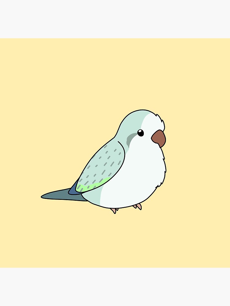 Ready to Ship good Blue Quaker Hand