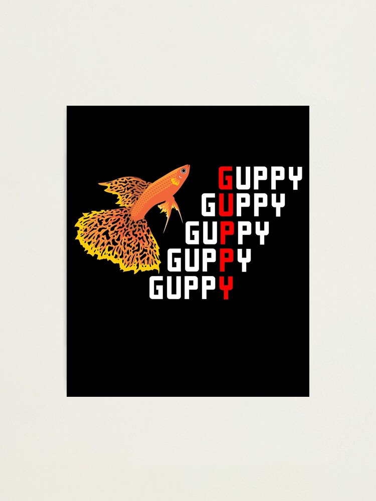 "Kraft guppy werk fish guppies guppy fish kraft" Photographic Print for ...