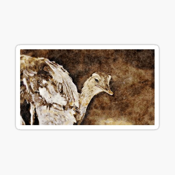 "Rhea Beauty - watercolour study" Sticker for Sale by Artisan1948J ...