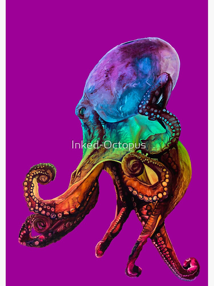 "Rainbow octopus colourful and fun octopus image" Sticker for Sale by ...