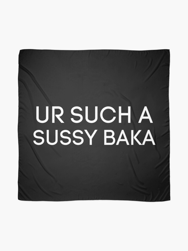 "ur such a sussy baka, sussy baka sus im amogus, sussy baka meme, sussy ...