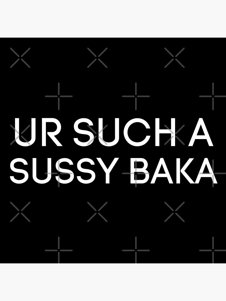 "ur such a sussy baka, sussy baka sus im amogus, sussy baka meme, sussy ...