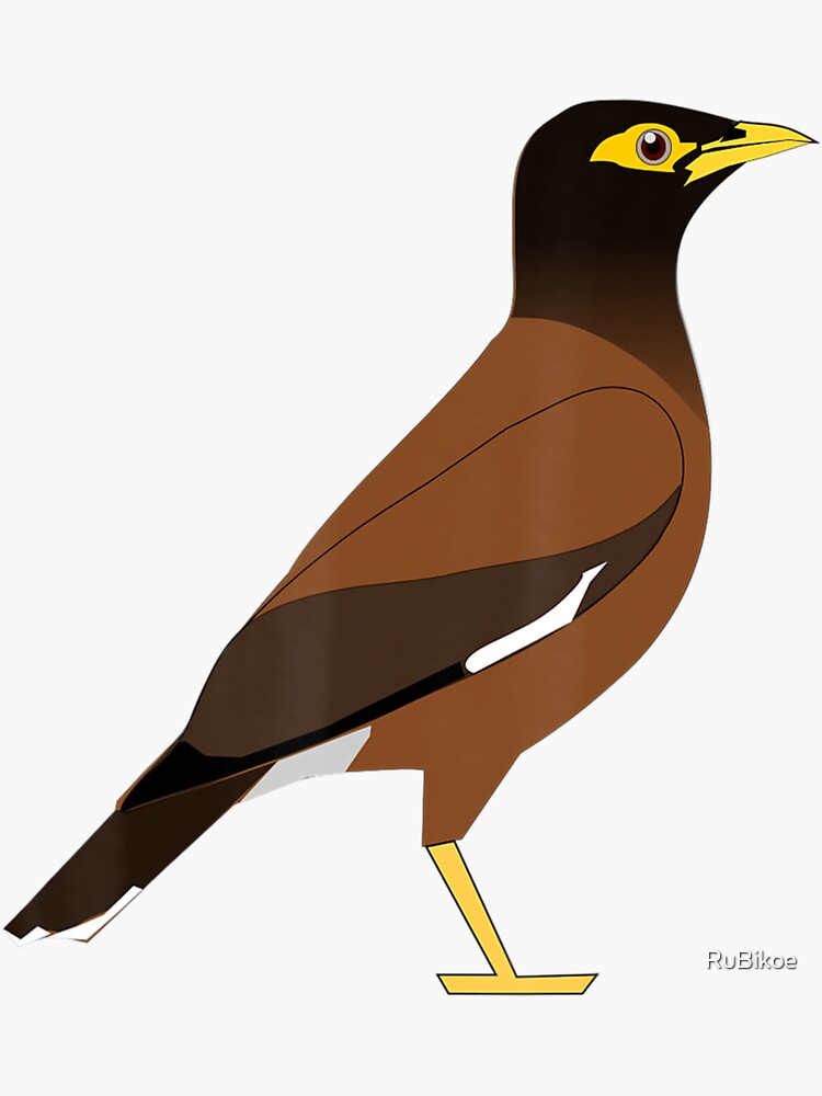 "Common Myna Mynah" Sticker for Sale by RuBikoe | Redbubble