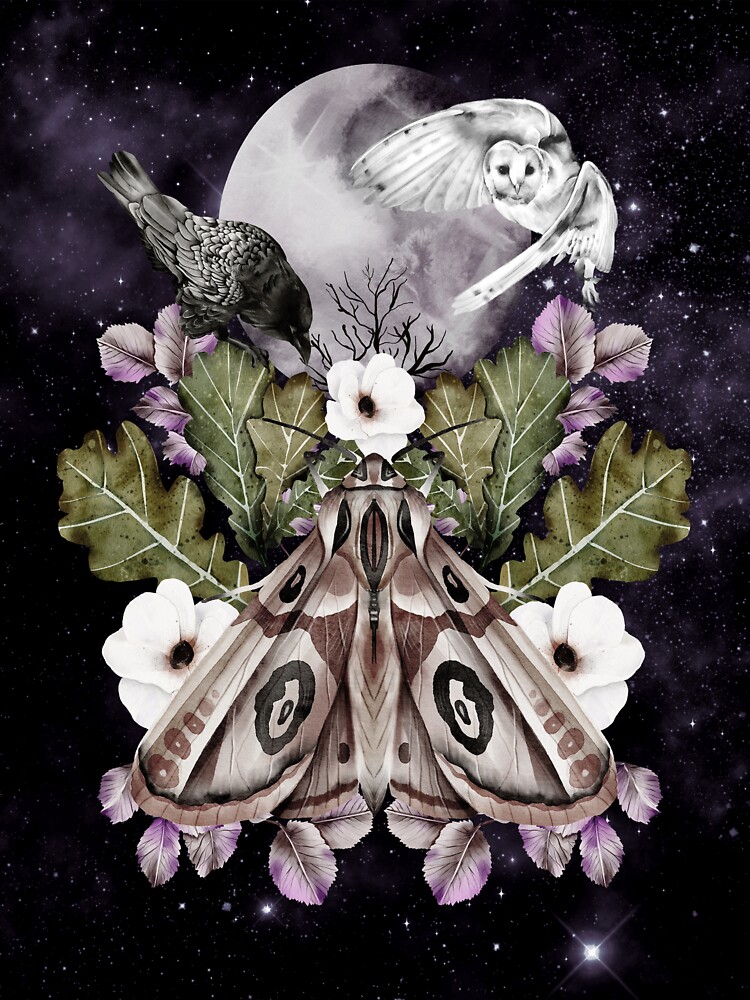 "Raven, Owl and Moon Digital Collage" Sticker for Sale by ttgart ...