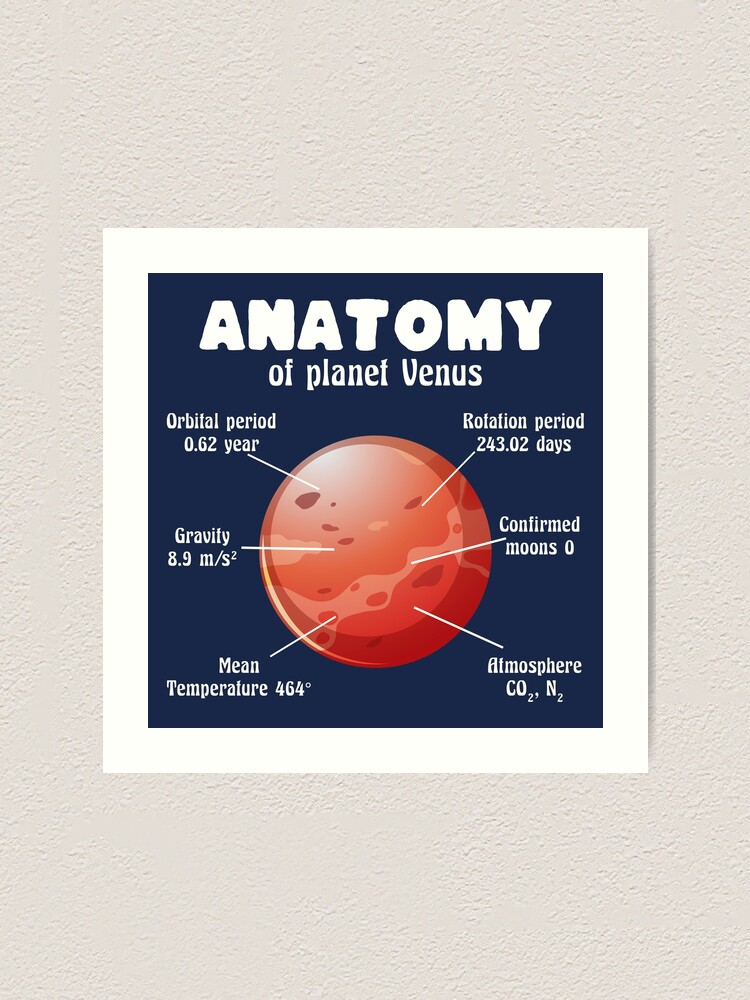 "Anatomy of planet Venus, funny solar system, Awesome gift for your ...