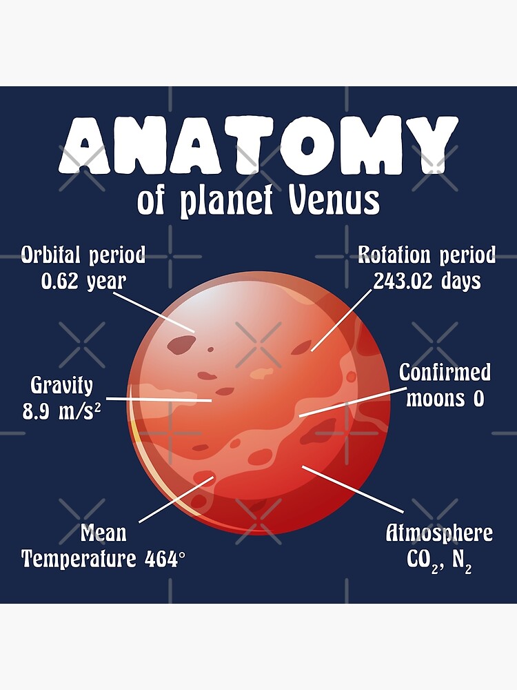 "Anatomy of planet Venus, funny solar system, Awesome gift for your ...