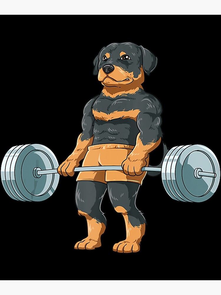 Póster «Levantamiento de pesas Perro Rottweiler Peso muerto Perro ...